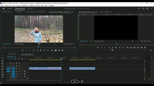 003. Adobe Premiere Pro. Работа с таймлинией