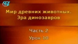 Динозавры # 2.10. Разнообразие теропод