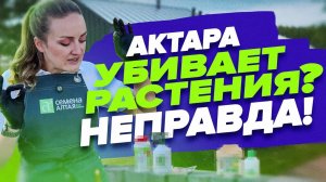 ПРО АКТАРУ
