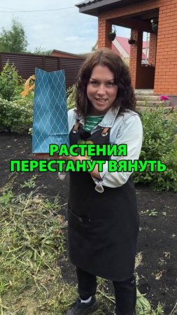 Как защитить растения на даче от жары?