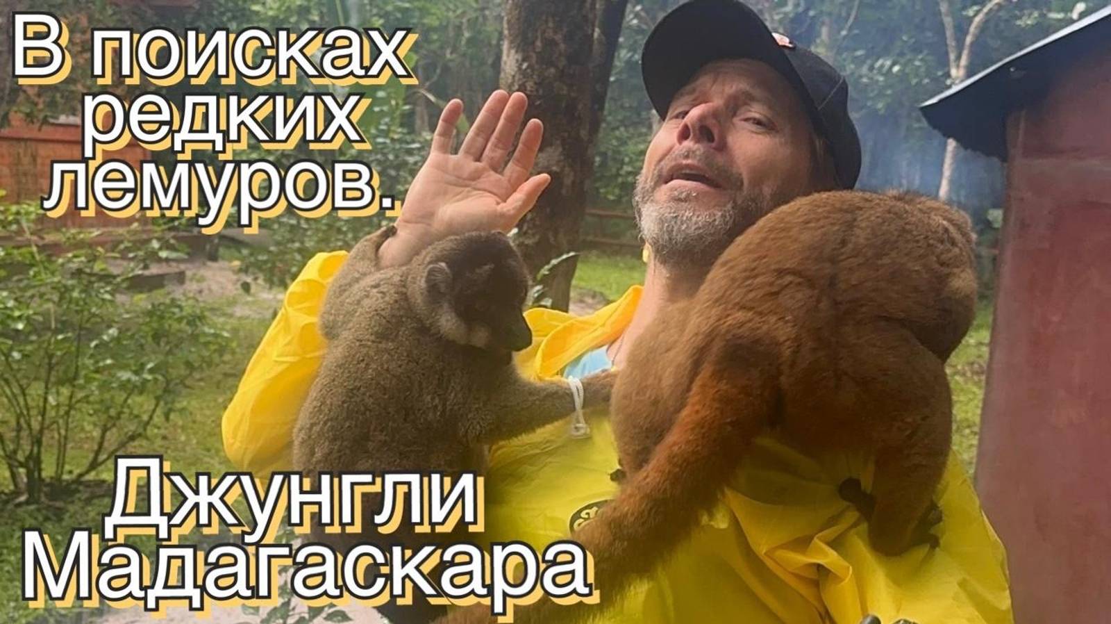 В джунглях Мадагаскара. В поисках редких лемуров.