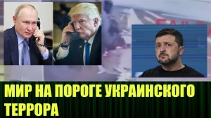 О чём говорили по телефону Путин и Трамп, после террористической атаки Украины