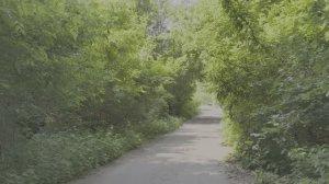 4K 30fps HDR10PLUS smpte2084 | ЛЕС В Станице-Луганской Области.