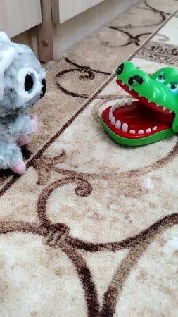 Коала Риви 🐨