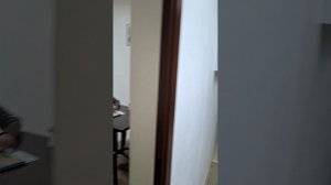 Наши увлекательные занятия #2