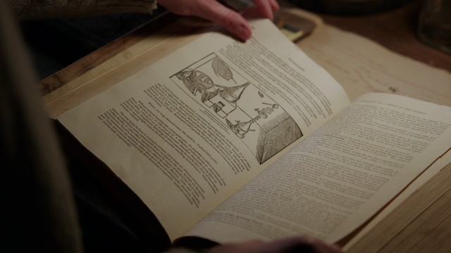 Гримм: «Любовная горячка» (01 сезон 17 серия), смотреть сериал бесплатно