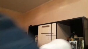 Дай сюда телефон