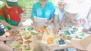 Грибы. Потрогать, узнать новое