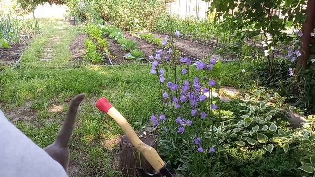 06-06-2025 Открывают сезон рыбака Необычный поступил заказ