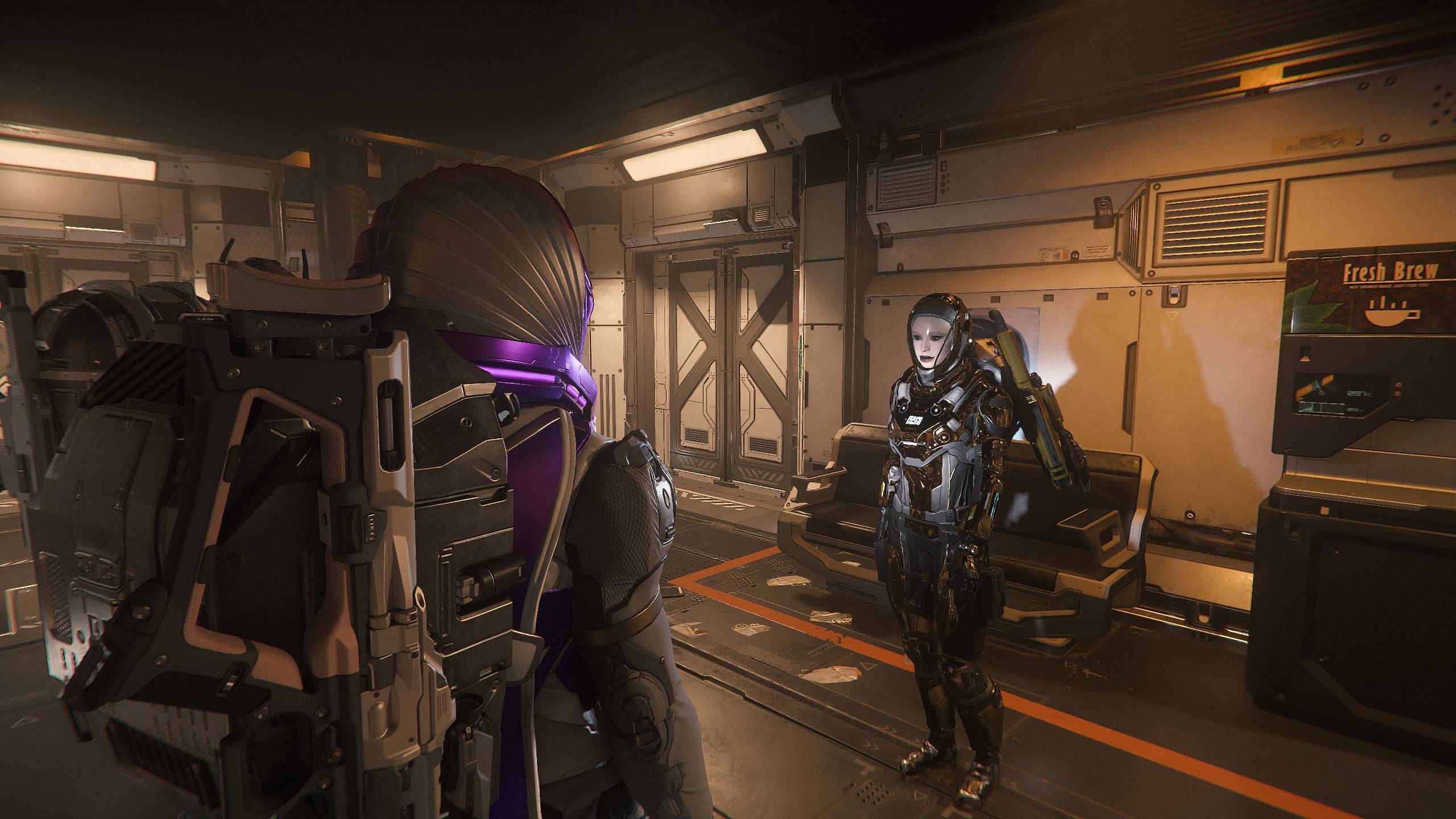 StarCitizen.Hawk