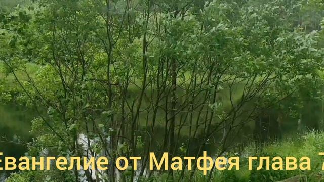 Библия Евангелие от Матфея глава 7