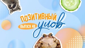 Как еноты повлияли на авиастроение Канады и кто поженил московских жаб. "Позитивный улов"