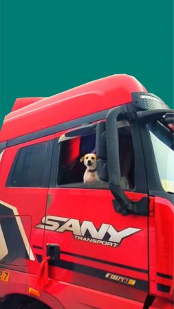 Веселая отгрузка пленок и тканей на заводе MSD)))