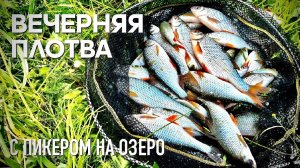 ВЕЧЕРНЯЯ ПЛОТВА!!! РЫБАЛКА с пикером на ОЗЕРЕ.