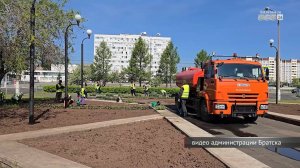 Более 200 тысяч цветов украсят улицы Братска