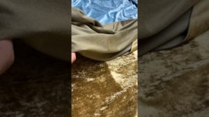 Крэш бархат в новом исполнении арт. MJ530