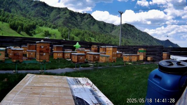 2025_0518_143630_049