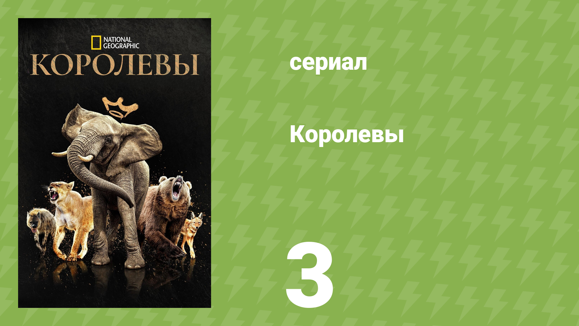 Королевы 3 серия «Крошечные королевы джунглей» (документальный сериал, 2024)