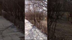«Санаторий “Рабочий” глазами гостя | Обзор от Ирины»