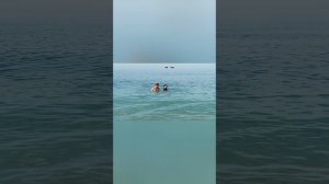 наше море дедеркой архив 2024 г