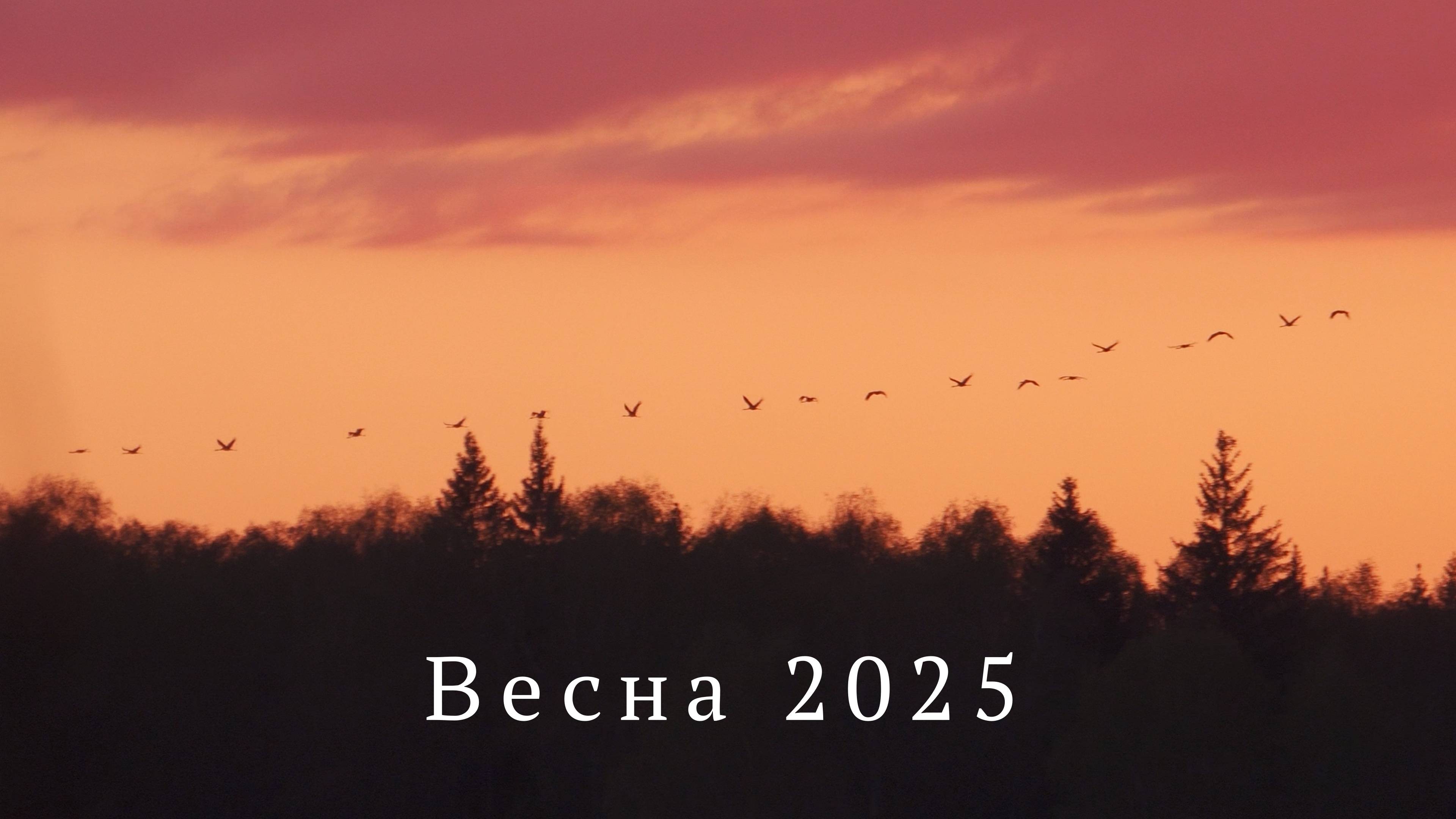 Весна 2025. Краткий обзор наших походов. Лучшие моменты