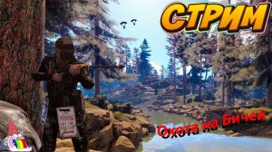 Стрим RUST Охота на Бичей