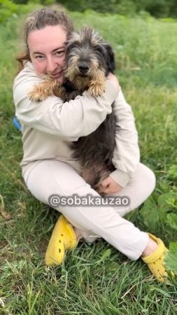 Ярик из приюта ищет хозяев. Проект Собака Юзао
