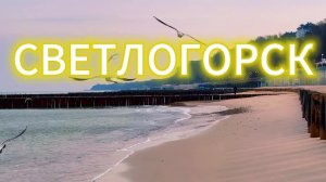 Светлогорск I Калининградская область