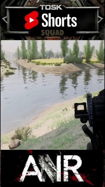 ANR Shorts #3