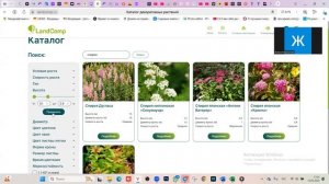 Каталог декоративных кустарников и деревьев LandComp