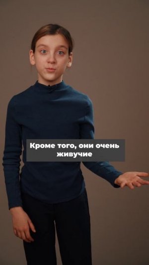 Элиза Пронина - ЧЕМ ПОЛЕЗНЫ КАКТУСЫ? #интересности #проговори