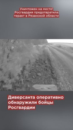 Уничтожен на месте! Росгвардия предотвратила теракт в Рязанской области