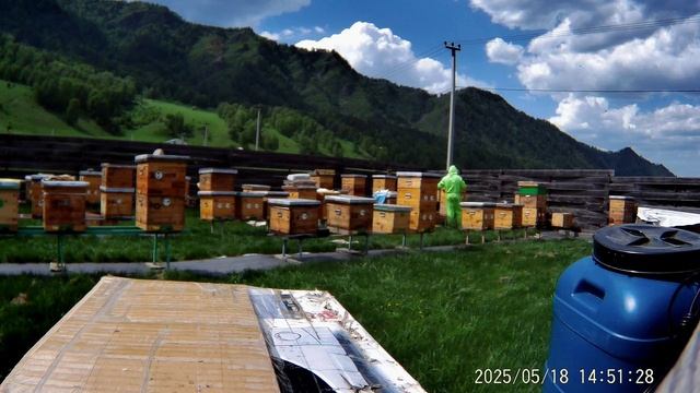 2025_0518_144629_050