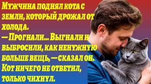 Истории из Жизни/Любимый Кот хозяина внезапно умер во сне, но вернулся/Жизненные Рассказы