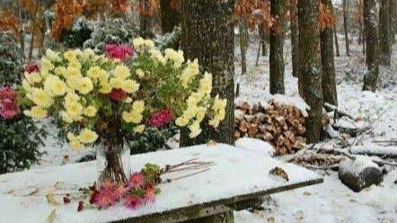 Стратегия Украинской Победы