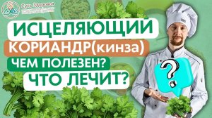 Исцеляющие специи из Аюрведы = Кориандр / Кинза / Китайская петрушка - ЧТО и КАК ЛЕЧИТ?