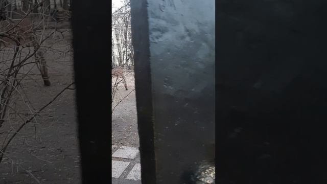 Крылов и Патриаршие пруды что общего