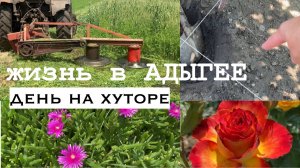 Наша жизнь в Адыгее/ В аул за цементом/ Раскопки в хоздворе /Довыделывался/ 04.06.2025/