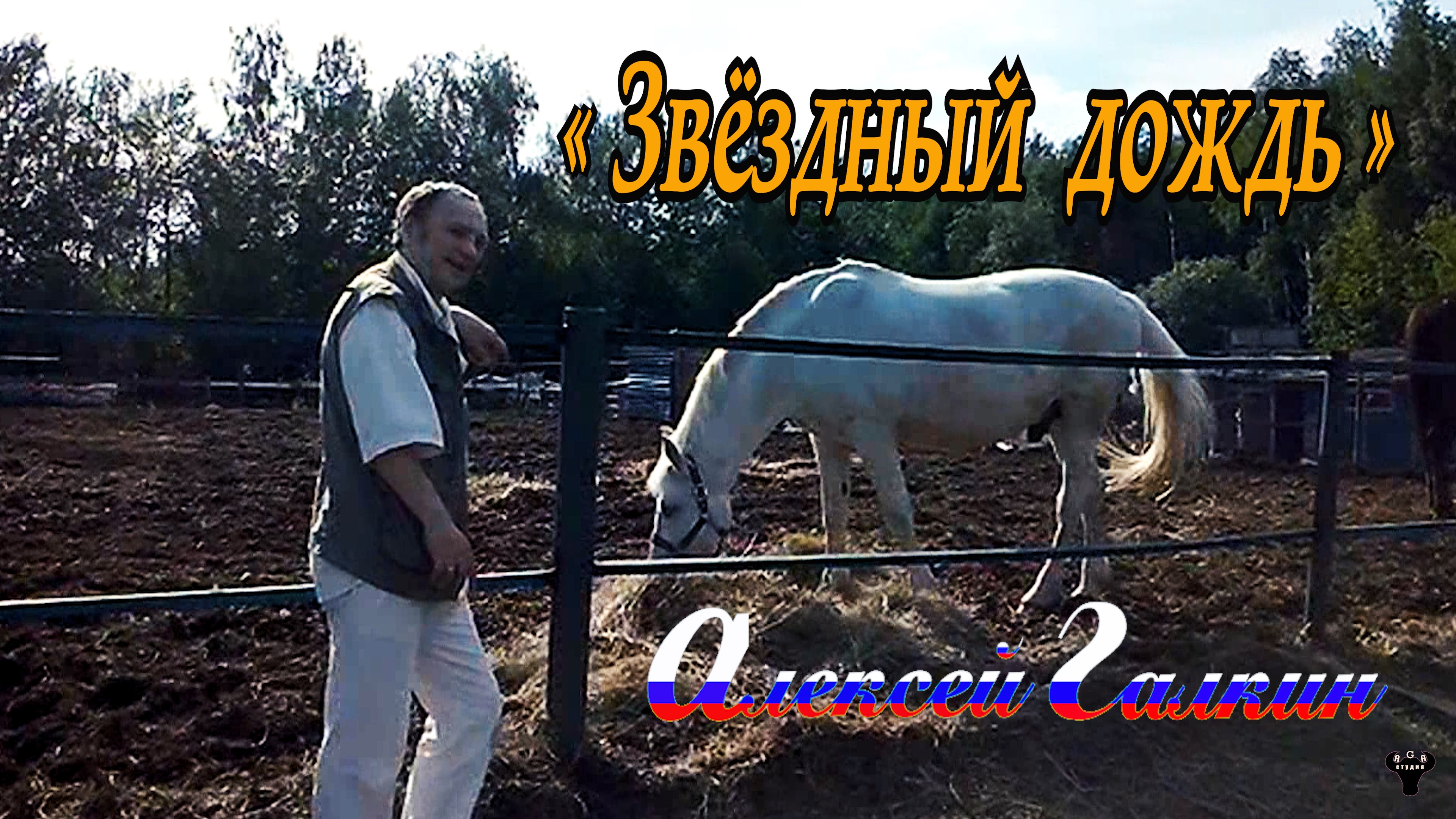 Алексей Галкин. «Звёздный дождь» муз. и ст. А.Галкин.