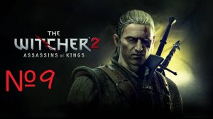 Продолжаем историю Геральта из Ривии. The Witcher 2 №9
