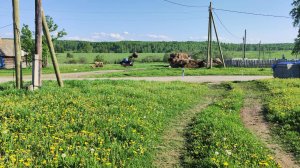 История нашей деревенской жизни. От мечты к реальности