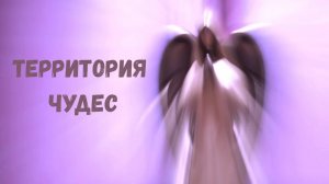 Андрей Каталевич "ТЕРРИТОРИЯ ЧУДЕС"