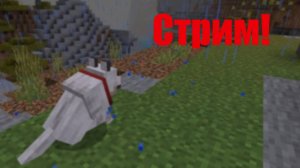 Выживание в Майнкрафт! #2