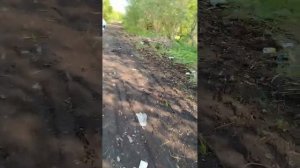 А когда эту свалку рекультивируют?