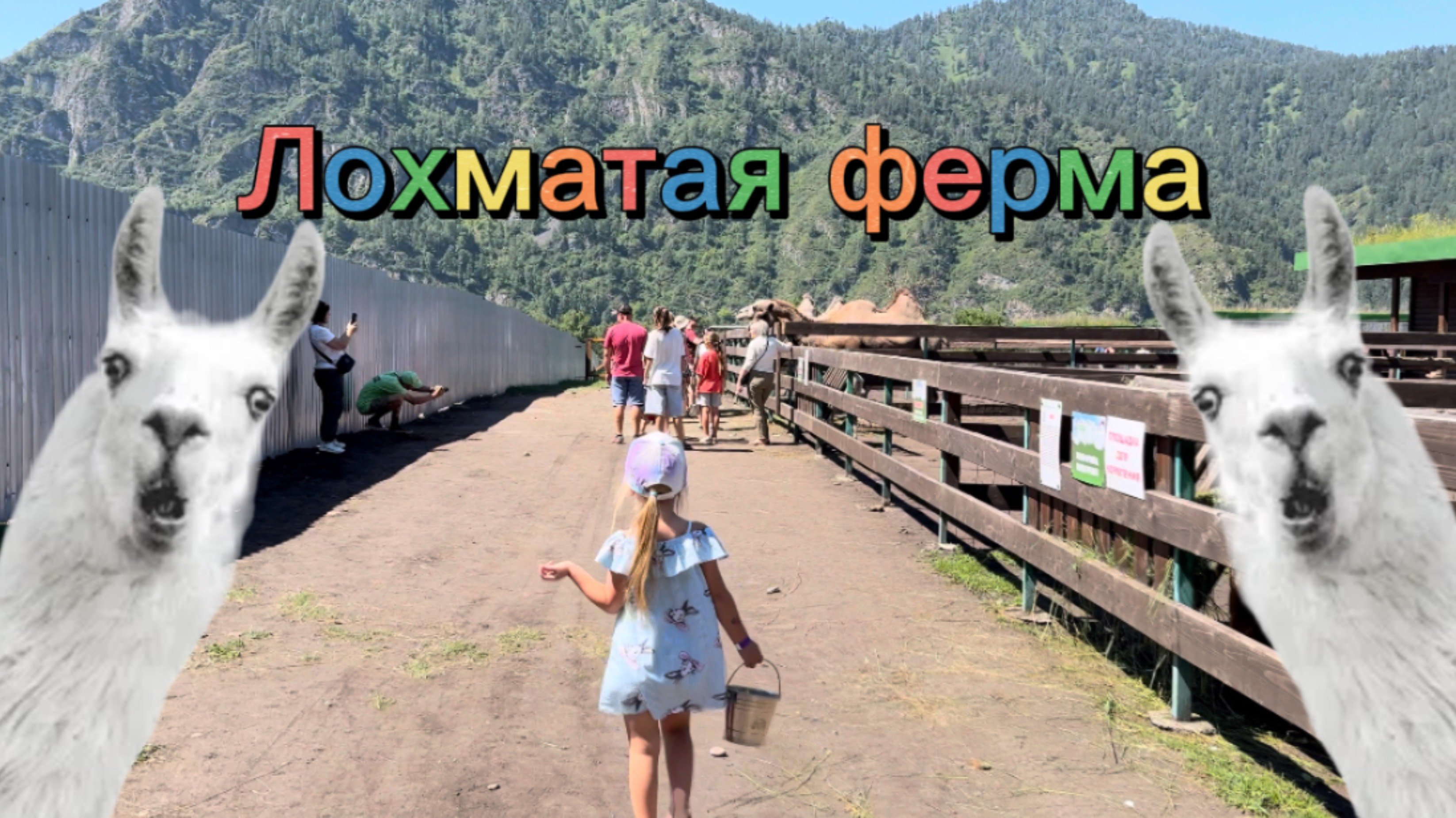 3 часть Горный Алтай , Лохматая ферма, отдых семьей