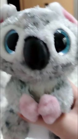 Коала Риви 🐨