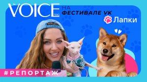 VOICE-репортаж с фестиваля VK «Лапки» вместе с Виолеттой Чиковани