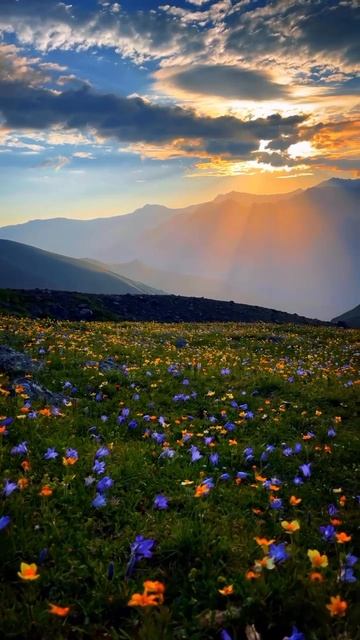 📍 Georgia #грузия #горы #небо Стиль 🔥 Лайк/подписка!