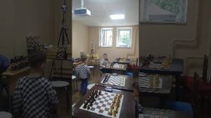 Котов и кошек