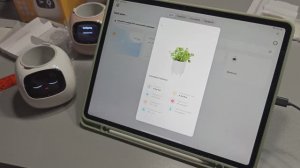 Умный горшок | Smart Plant Ivy